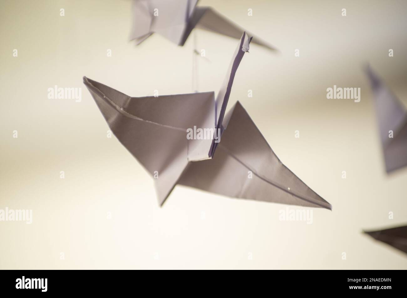 Japanese folded Origami cranes hanging on with strings. Hundreds ...