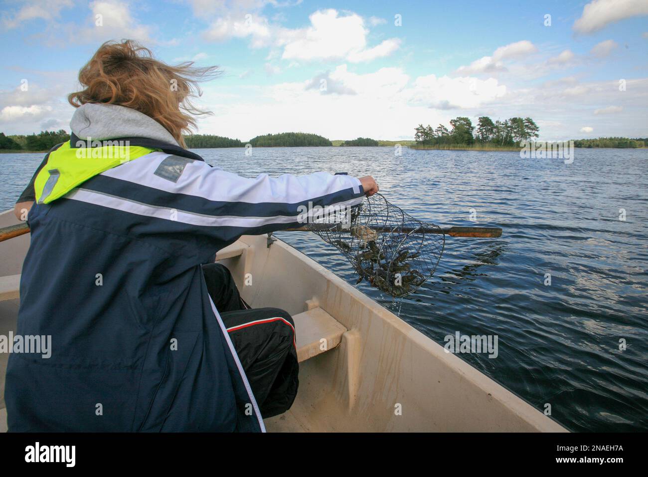 CRAWFISH fishing the cages land in the boat 2010 Stock Photo - Alamy