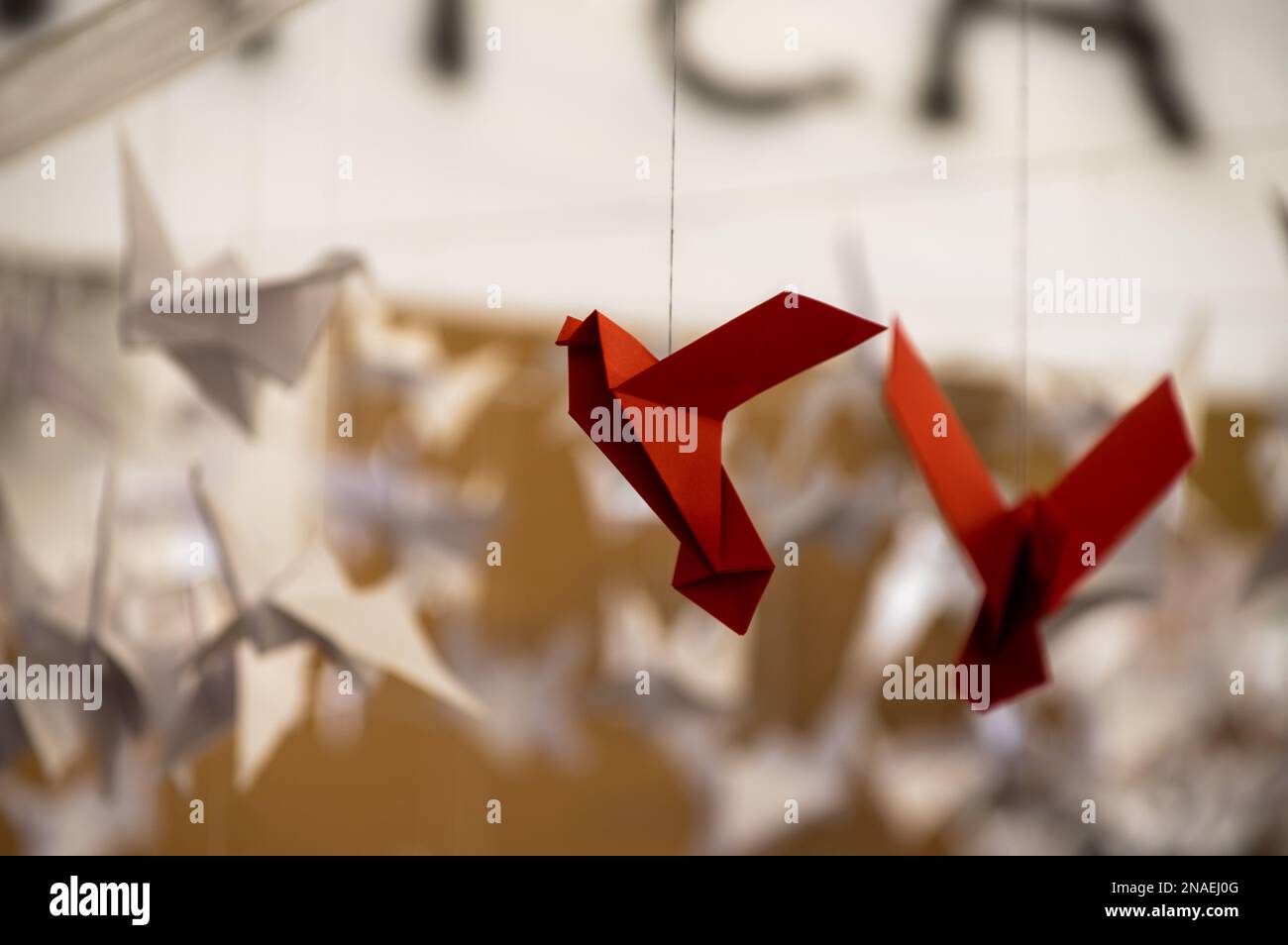 Japanese folded Origami cranes hanging on with strings. Hundreds ...