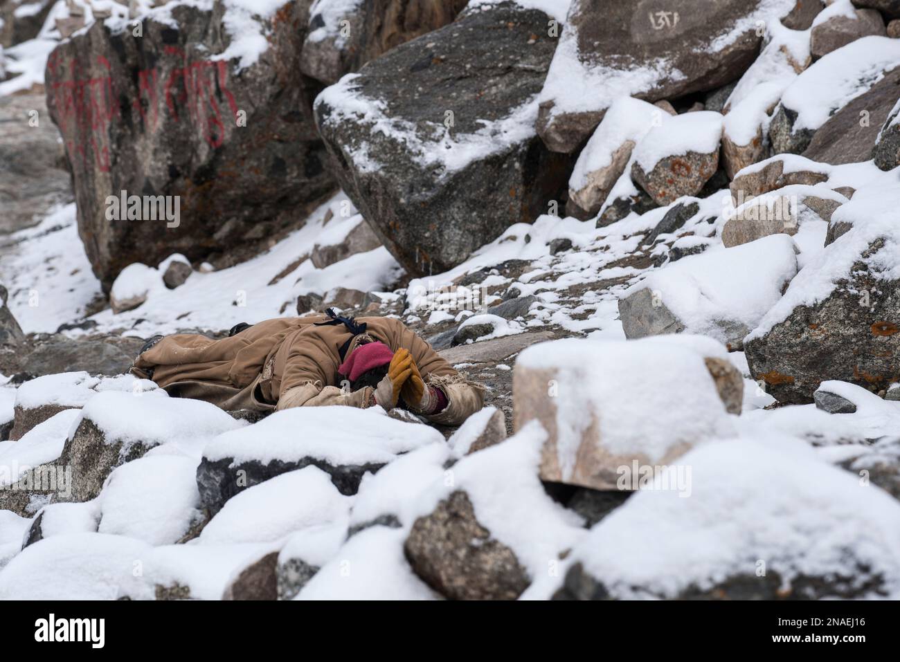 Pilgrim prostrating on the Kailash Kora Stock Photo - Alamy