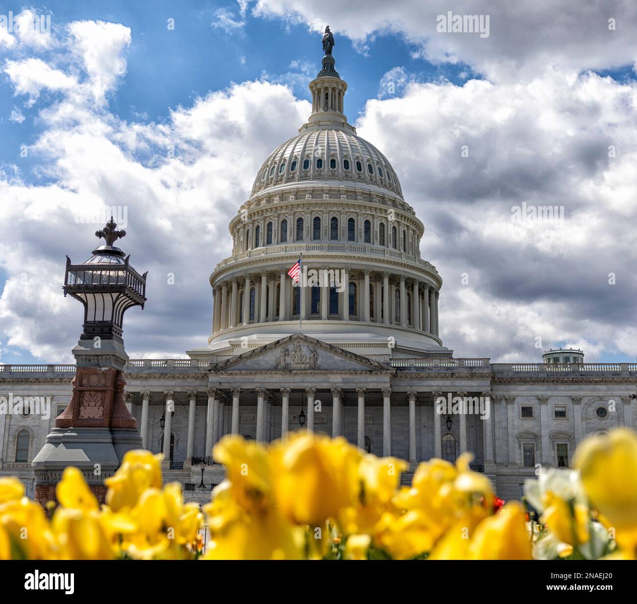The US Capitol Building in Washington DC, a government building iconic ...