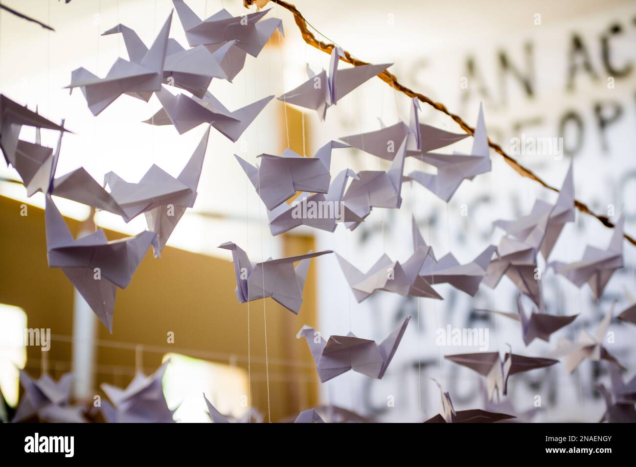 Japanese folded Origami cranes hanging on with strings. Hundreds ...