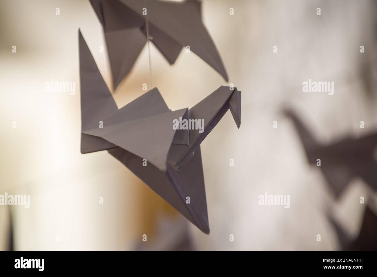 Japanese folded Origami cranes hanging on with strings. Hundreds ...