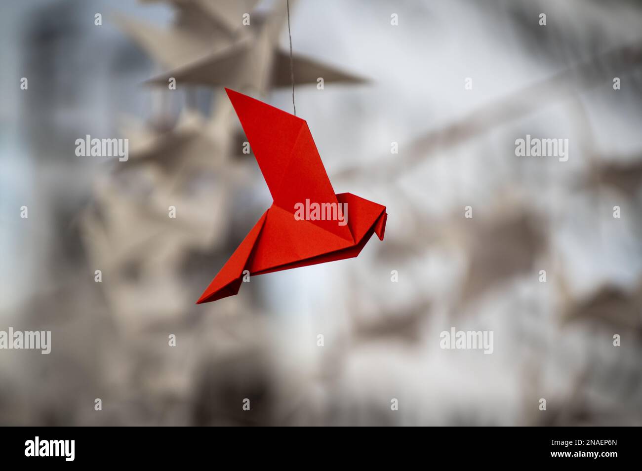 Japanese folded Origami cranes hanging on with strings. Hundreds ...