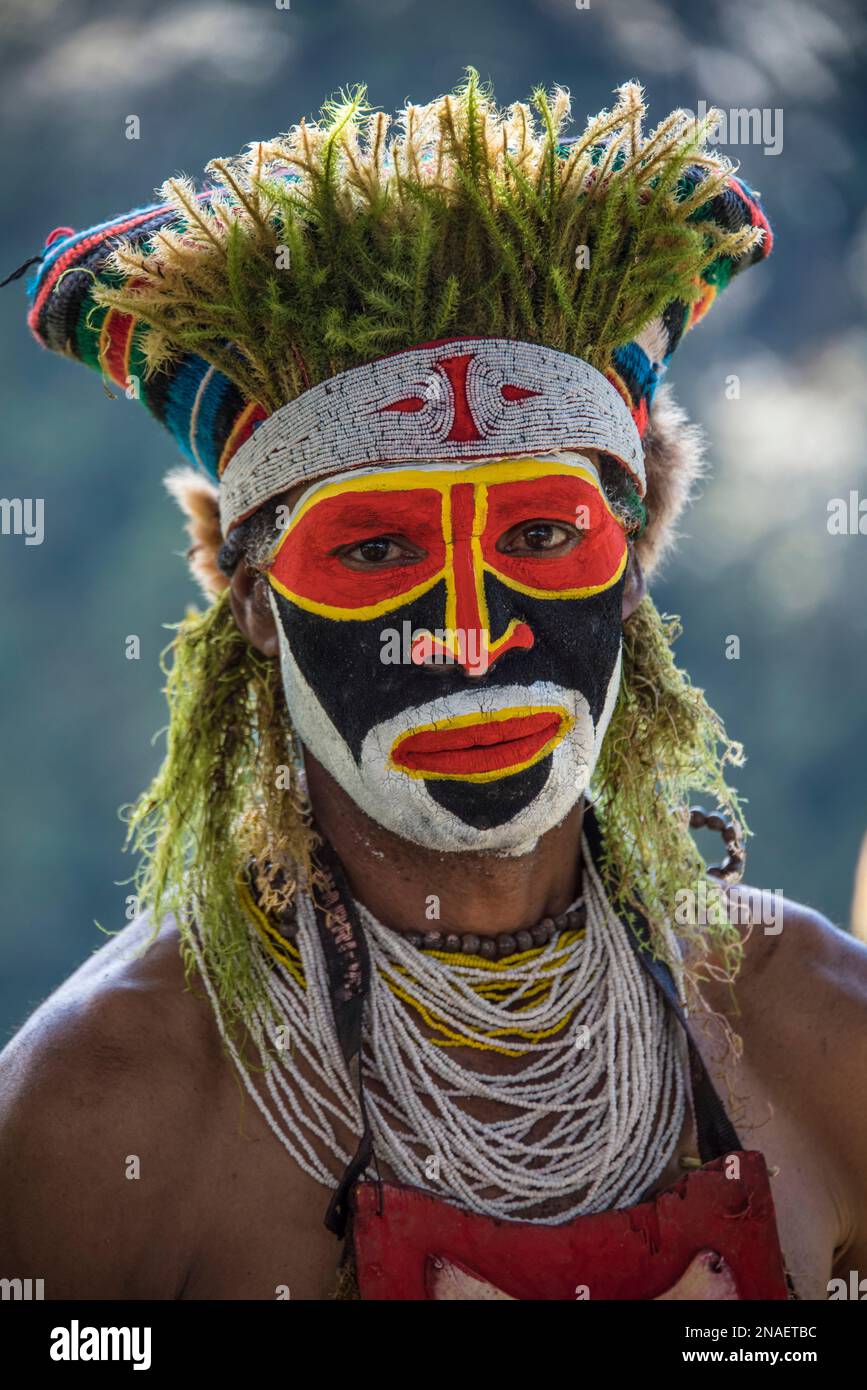 Participant wearing a wig during a Sing Sing, a gathering of tribes or ...