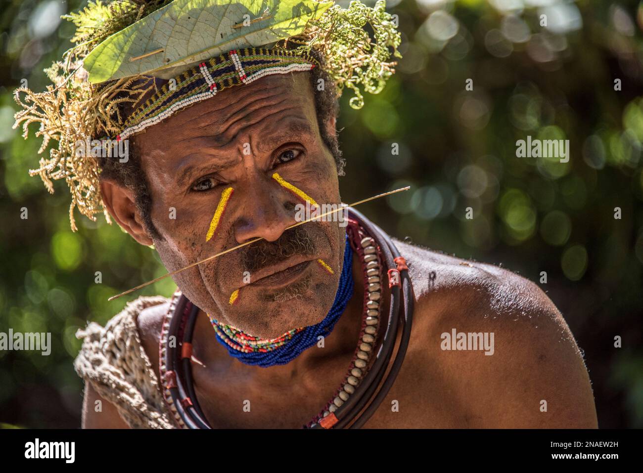 Huli tribe member in the Tari Valley area in Papua New Guinea’s ...