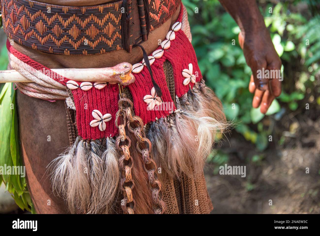 Waist adornments of a Huli tribesman in the Tari Valley area in Papua ...
