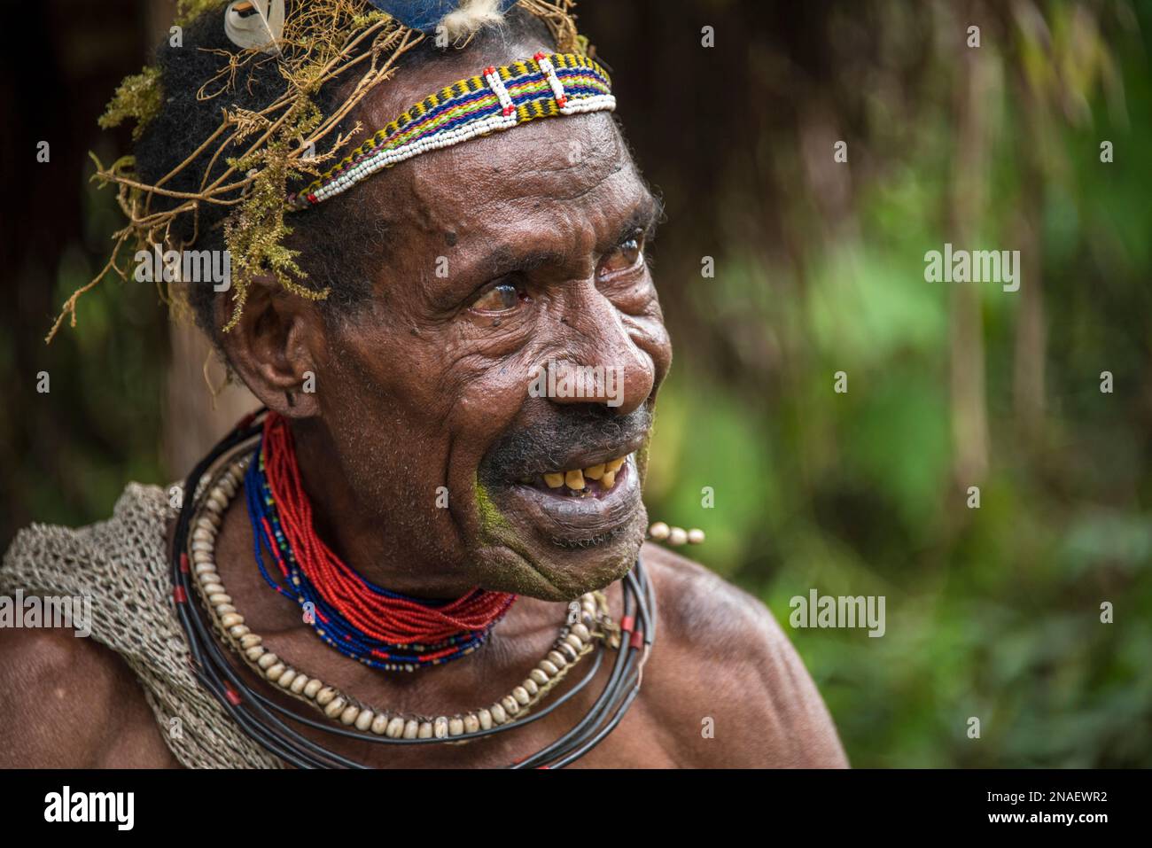 Tari valley papua new guinea hi-res stock photography and images - Alamy