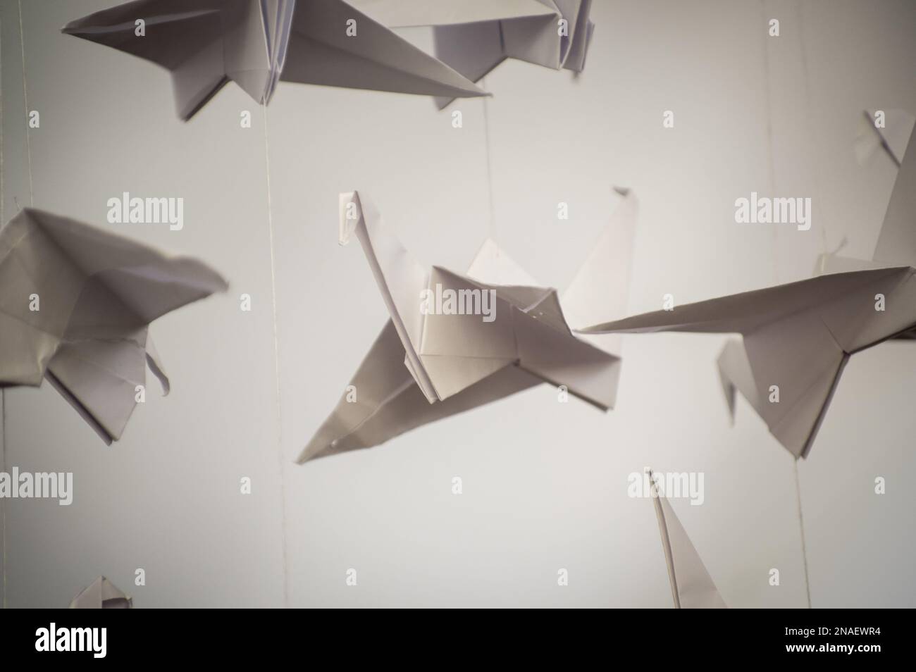 Japanese folded Origami cranes hanging on with strings. Hundreds ...