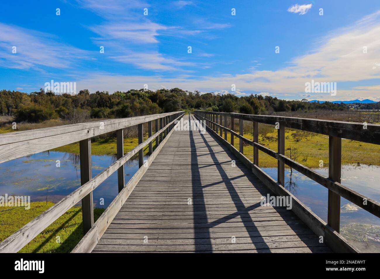 Coila creek swamp hi-res stock photography and images - Alamy