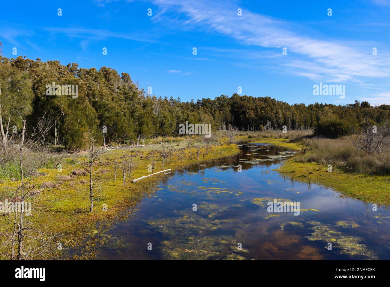 Coila wetlands hi-res stock photography and images - Alamy