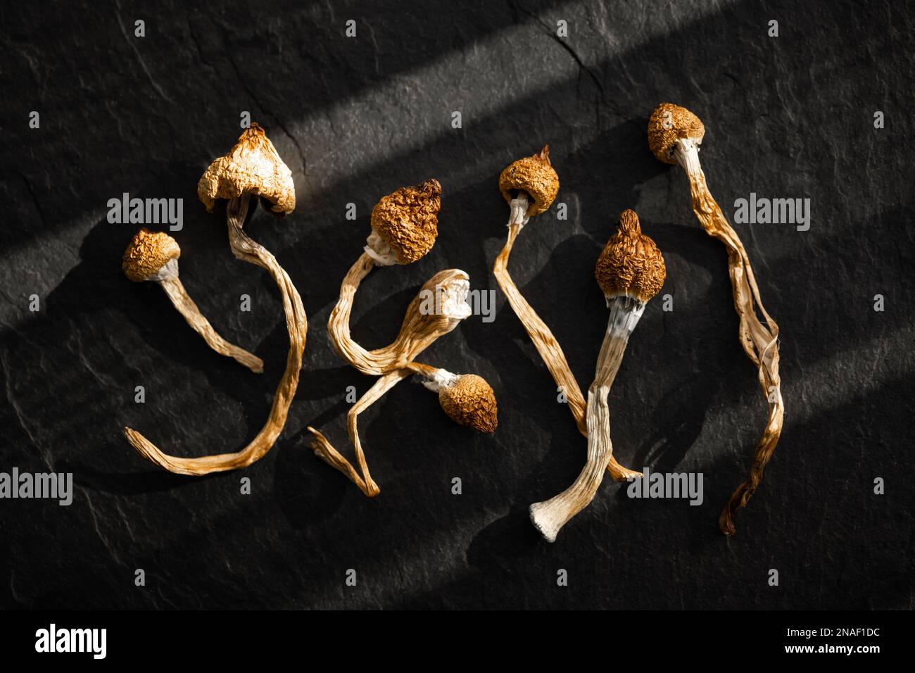 Micro dosing hi-res stock photography and images - Alamy