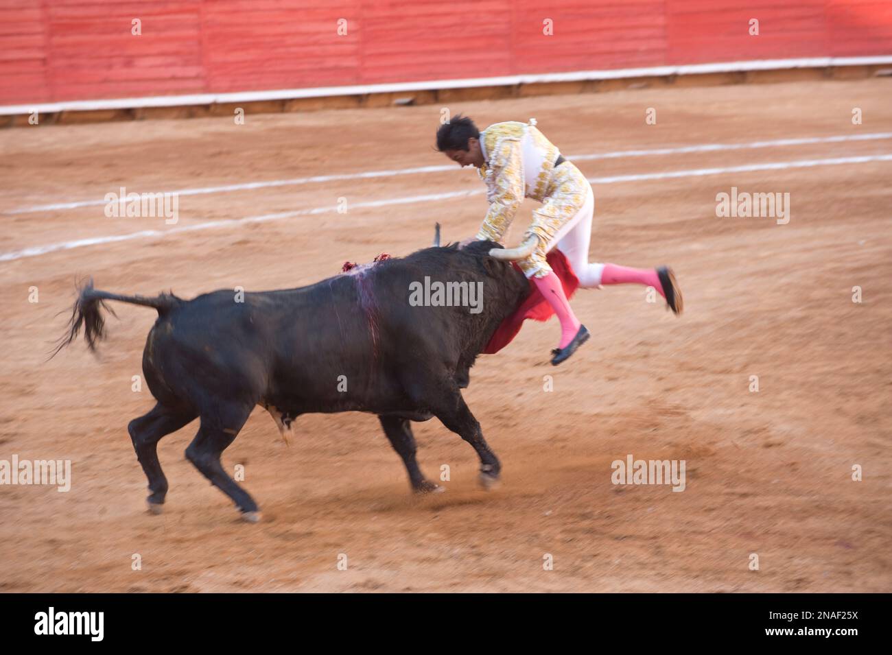 Arena méxico mexico city hi-res stock photography and images - Alamy