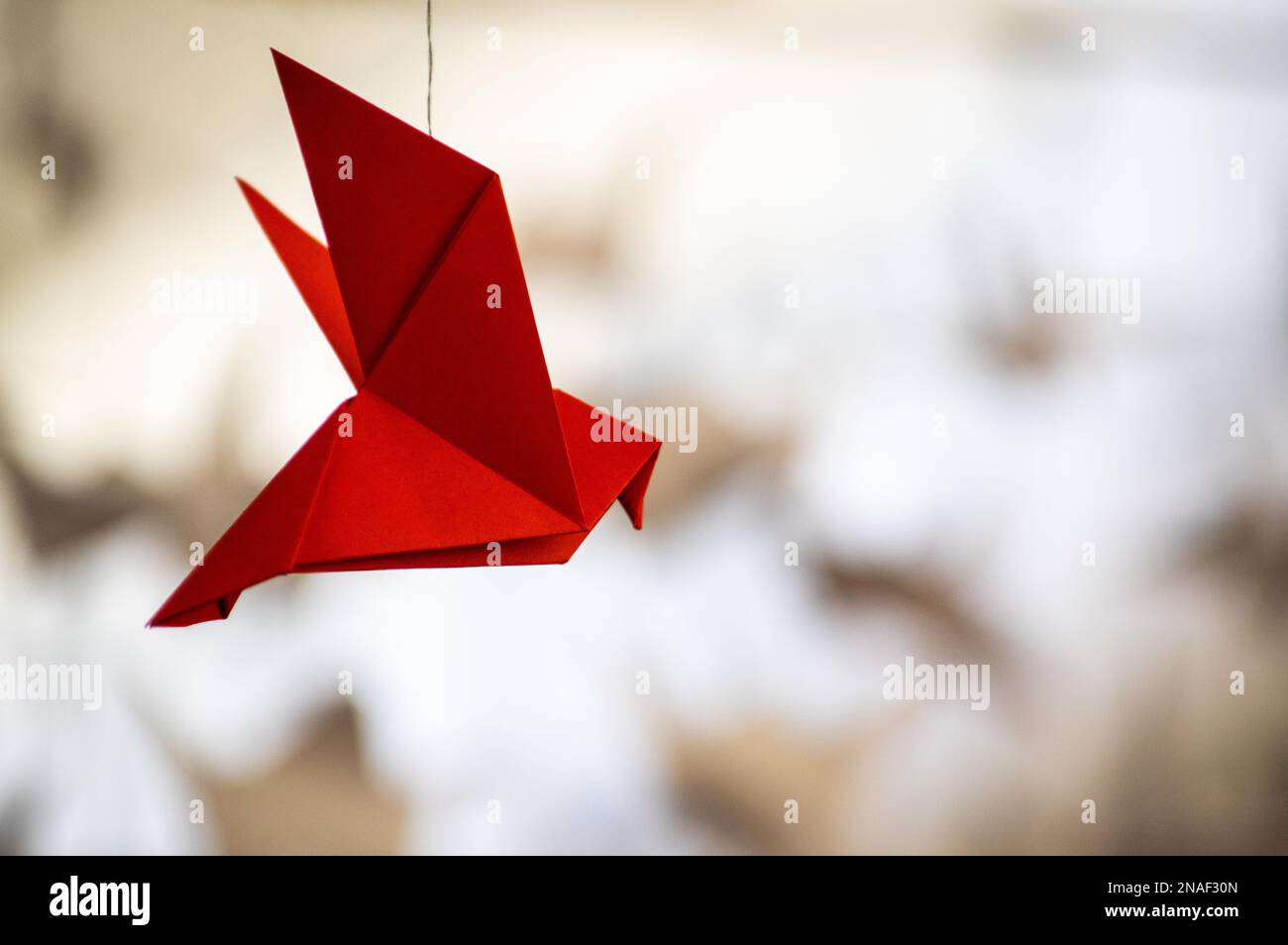 Japanese folded Origami cranes hanging on with strings. Hundreds ...