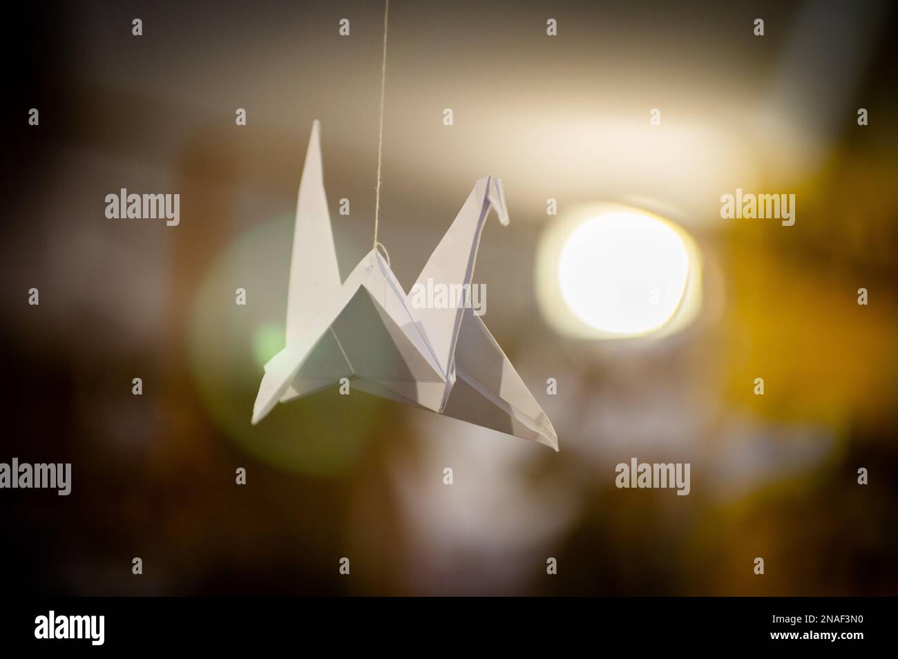 Japanese folded Origami cranes hanging on with strings. Hundreds ...