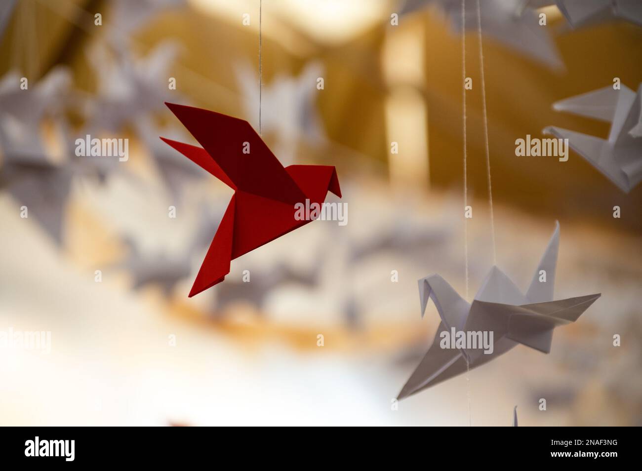 1000 folded paper cranes hi-res stock photography and images - Alamy