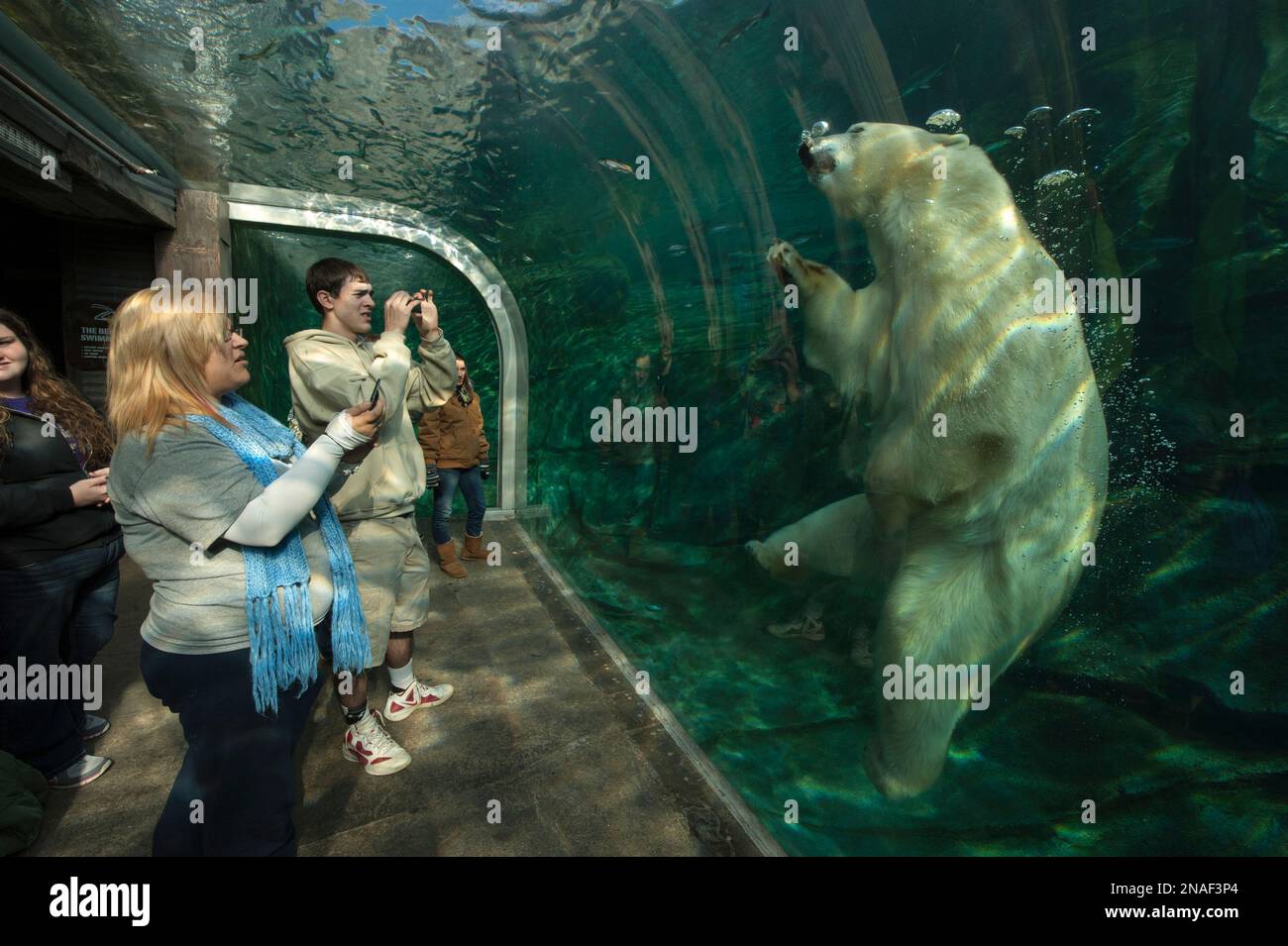 An exhibit at the Zoo and Aquarium in Columbus, Ohio features ...