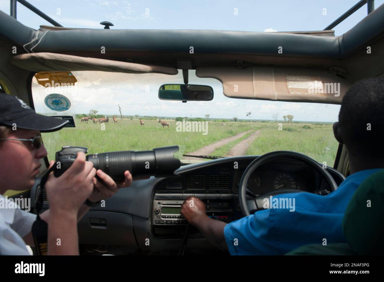 A photographer rides through the Ishasha area of Queen Elizabeth ...