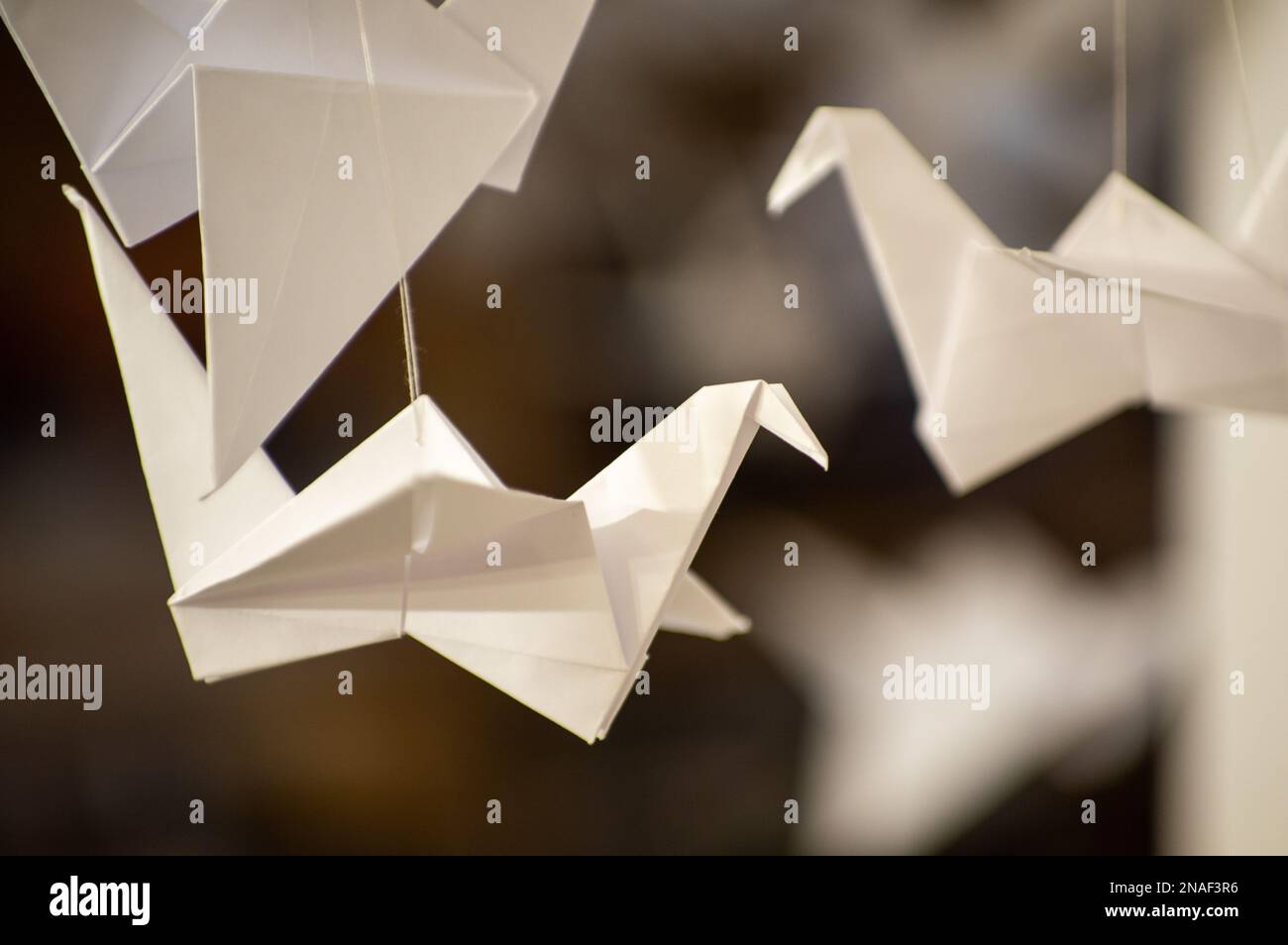 Japanese folded Origami cranes hanging on with strings. Hundreds ...