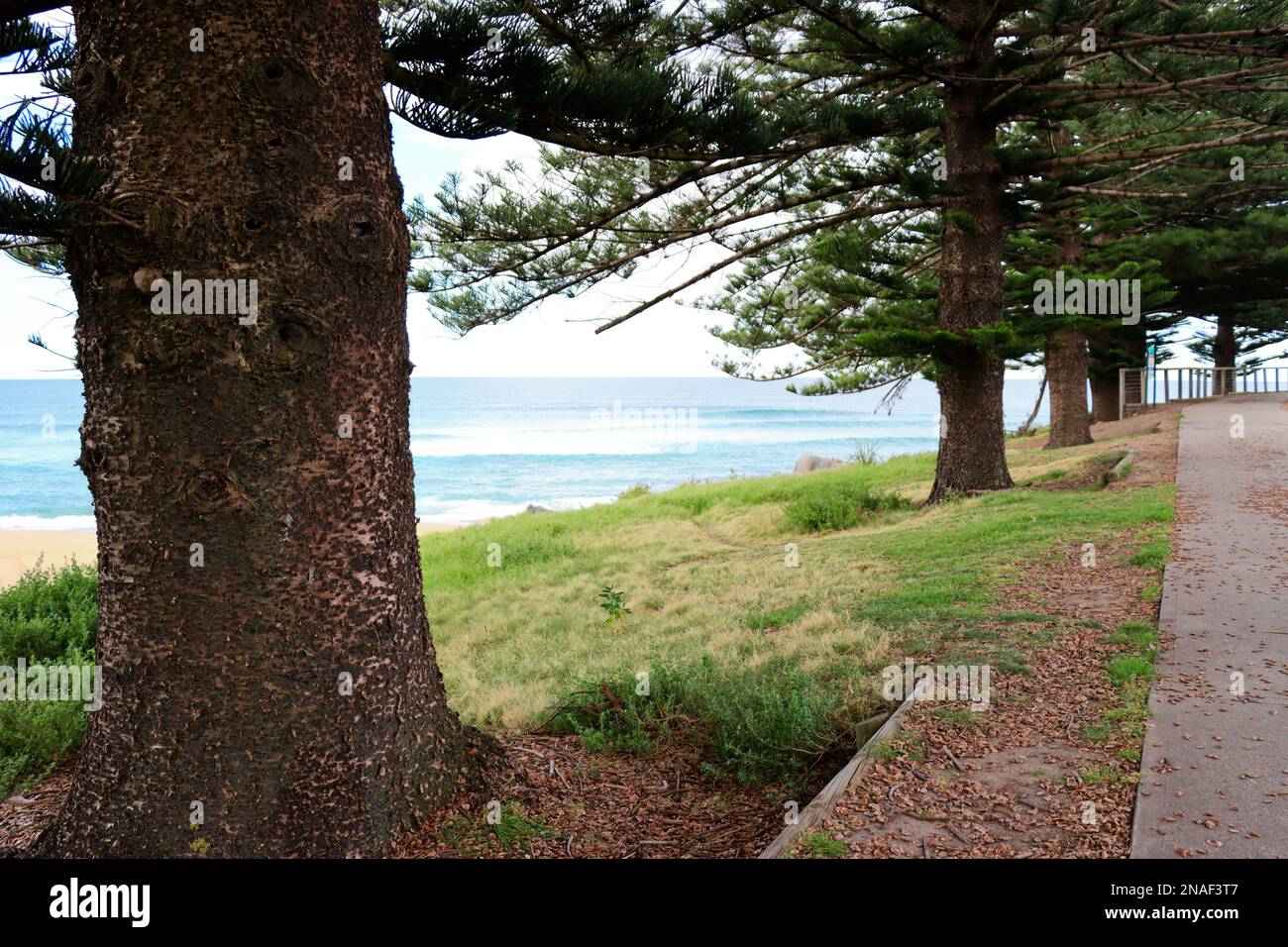 Looking onto Coila Beach from the cycle path Stock Photo - Alamy
