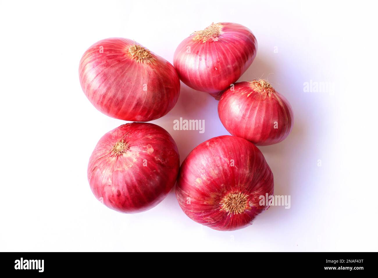 Fresh onion stock image on white background Stock Photo - Alamy