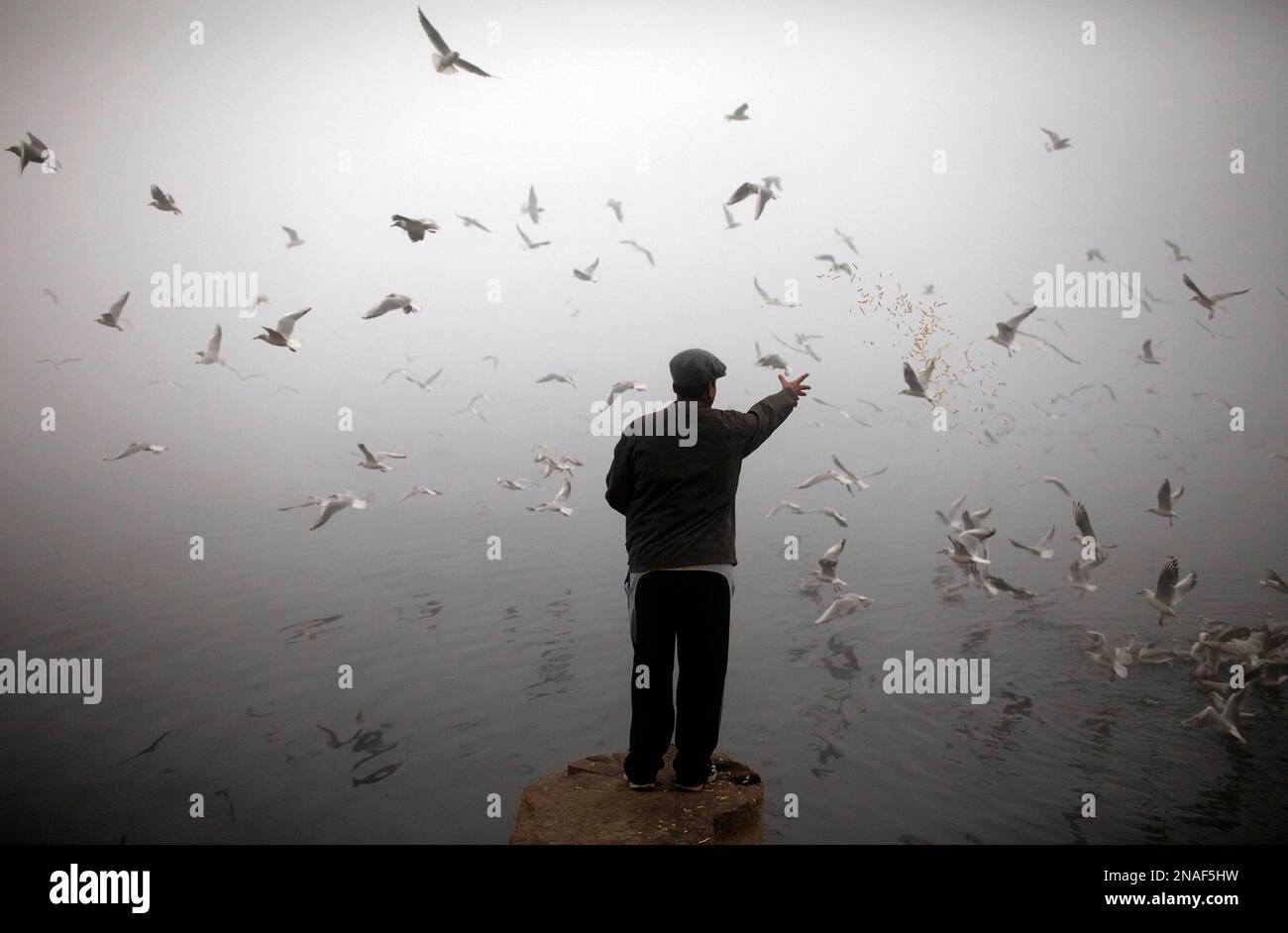 An Indian man feeds birds on the River Yamuna as it is enveloped by ...