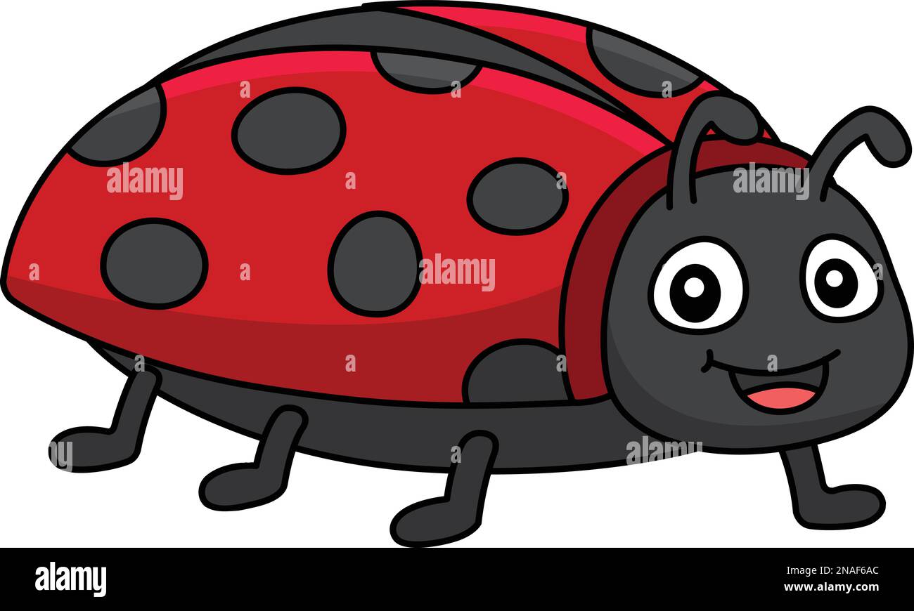 Ladybird Cartoon Clipart Images