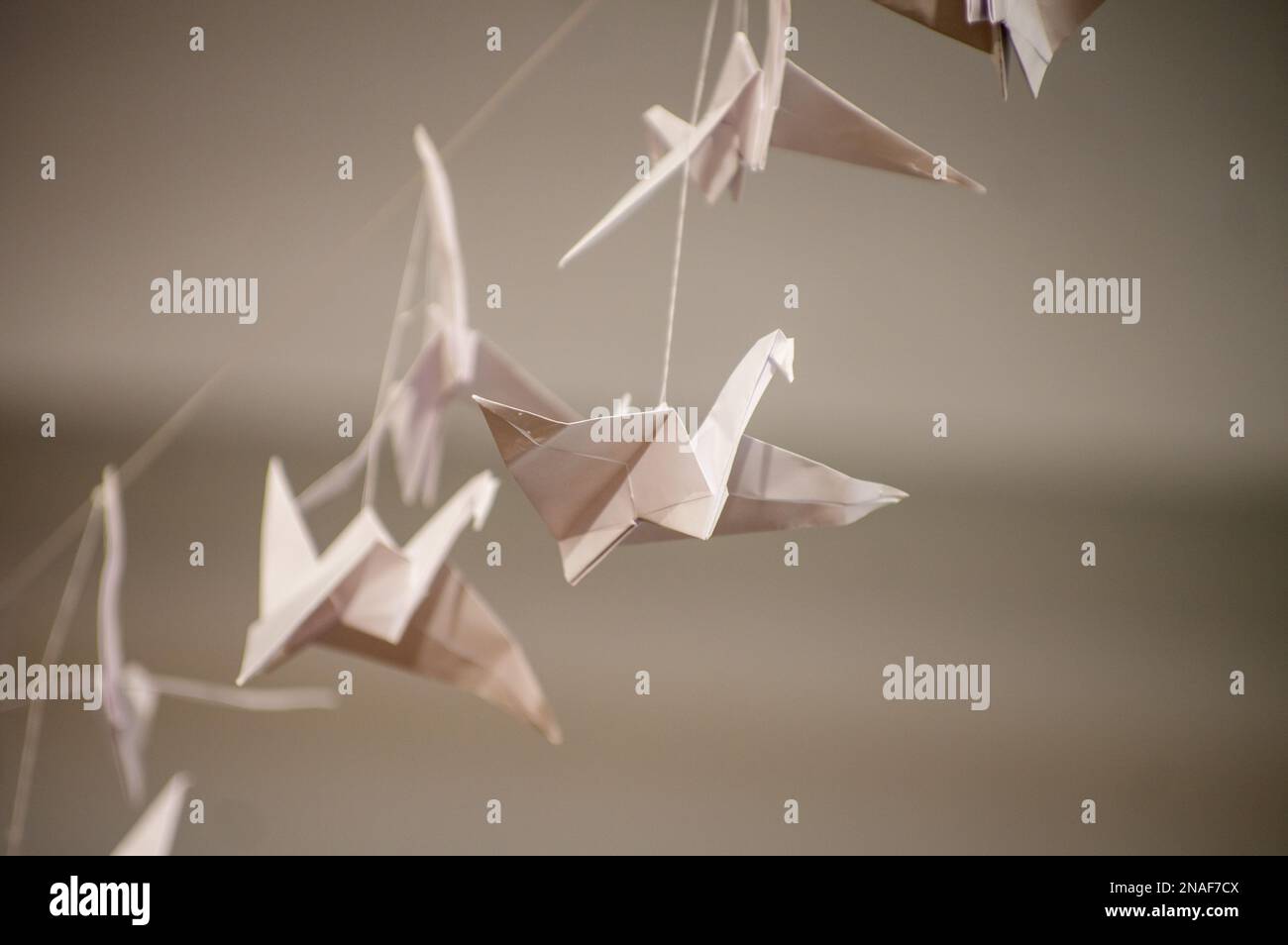 Japanese folded Origami cranes hanging on with strings. Hundreds ...