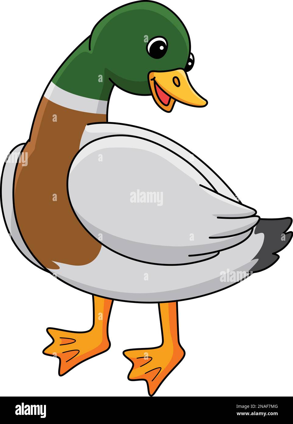 Spring Mother Duck Cartoon Colored Clipart Stock Vector Image & Art - Alamy