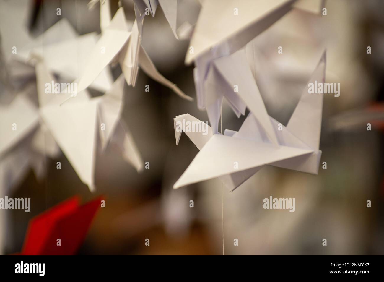 Japanese folded Origami cranes hanging on with strings. Hundreds ...