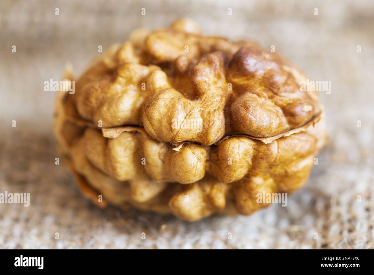 natural walnut kernel close-up. horizontal frame Stock Photo - Alamy