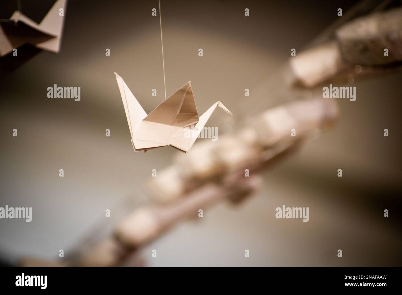 1000 folded paper cranes hi-res stock photography and images - Alamy