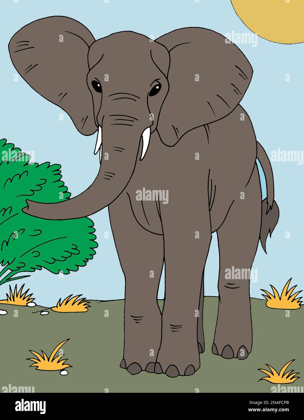 Grey African elephant illustration Stock Photo - Alamy