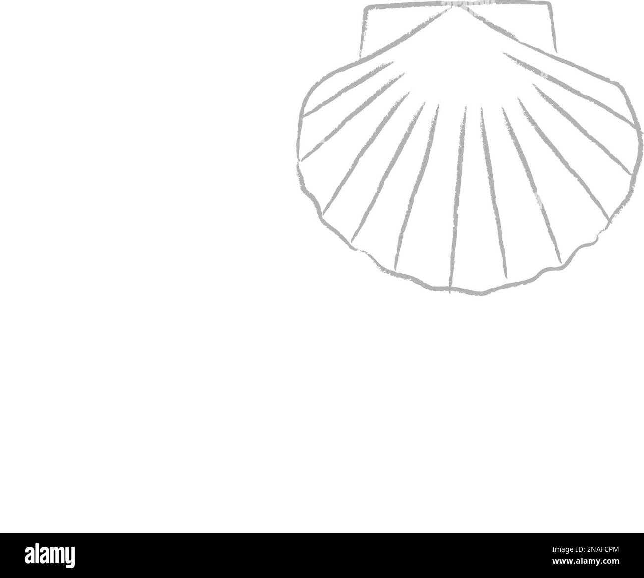 Step 3 how to draw a fan shaped shell Stock Photo - Alamy