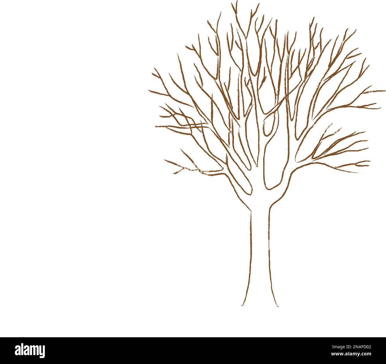 Step 1 how to draw a leafy tree Stock Photo - Alamy