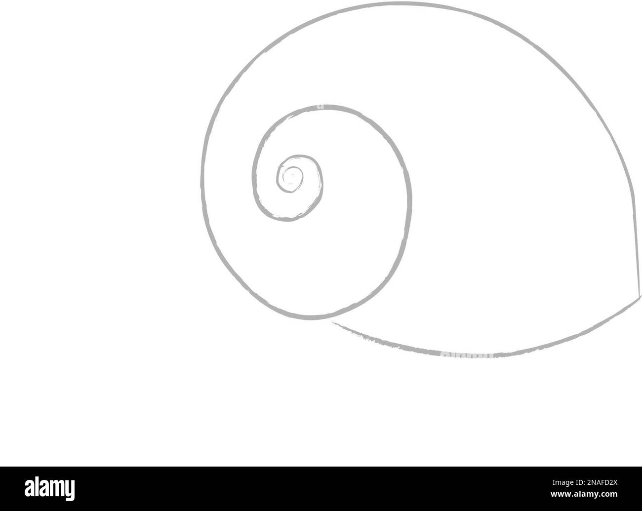 Step 3 how to draw a spiral shell Stock Photo - Alamy
