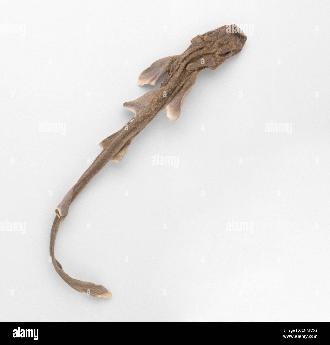 Cast up hi-res stock photography and images - Alamy