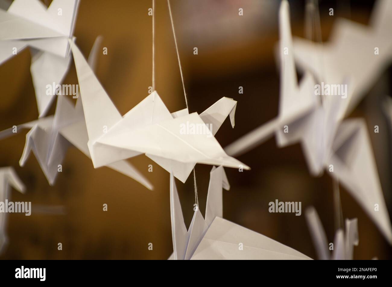 Japanese folded Origami cranes hanging on with strings. Hundreds ...