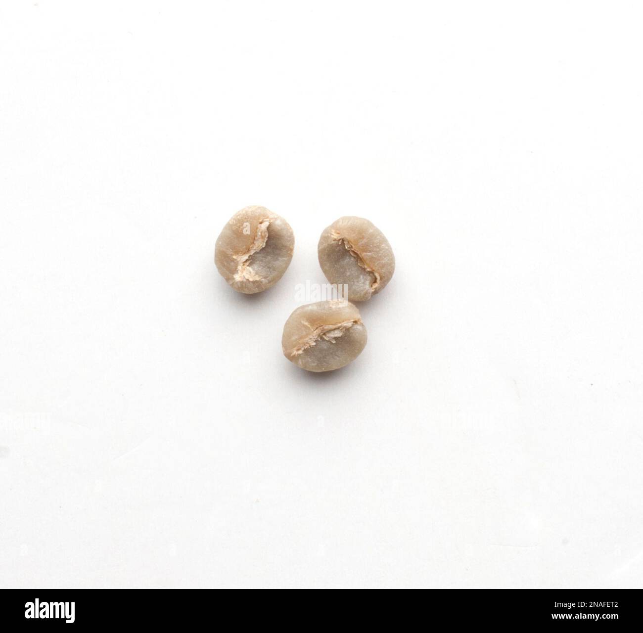 Colombia, washed Moka coffee beans Stock Photo - Alamy