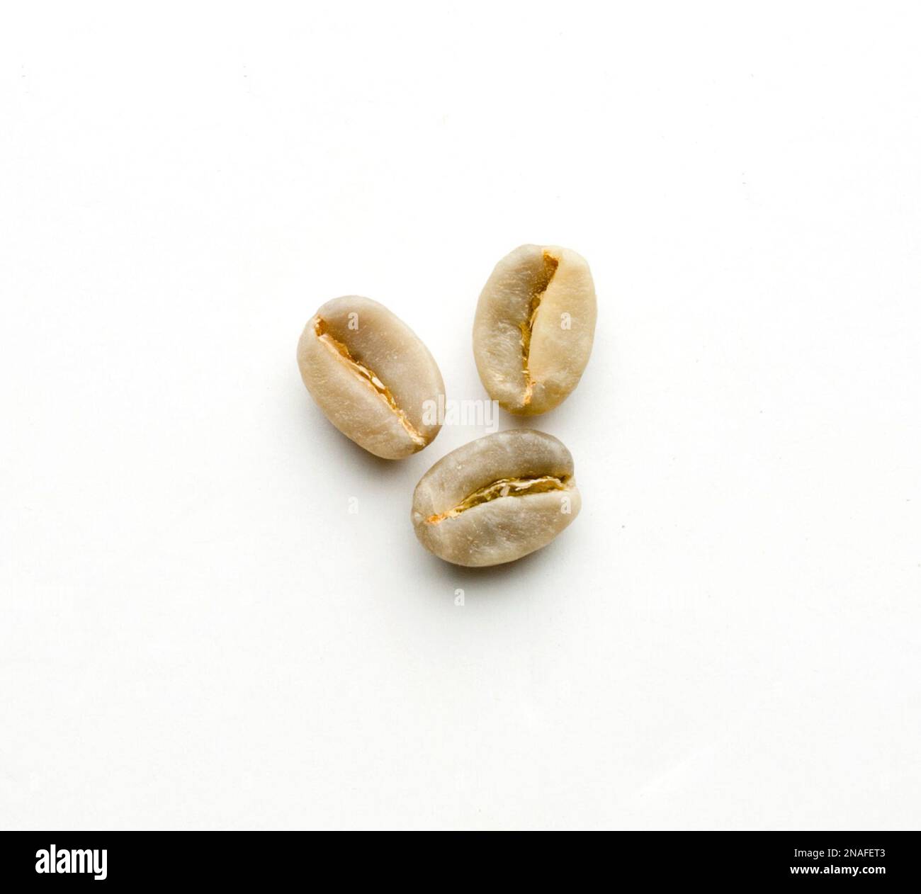 Colombia, washed tekisik coffee beans Stock Photo - Alamy