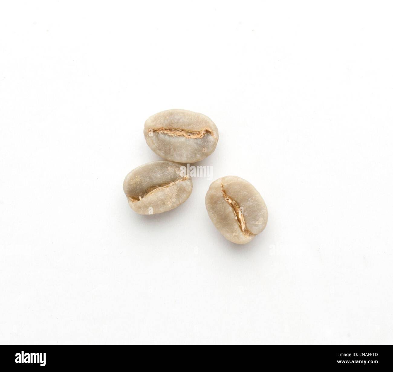 Hawaii, Typica washed coffee beans Stock Photo - Alamy