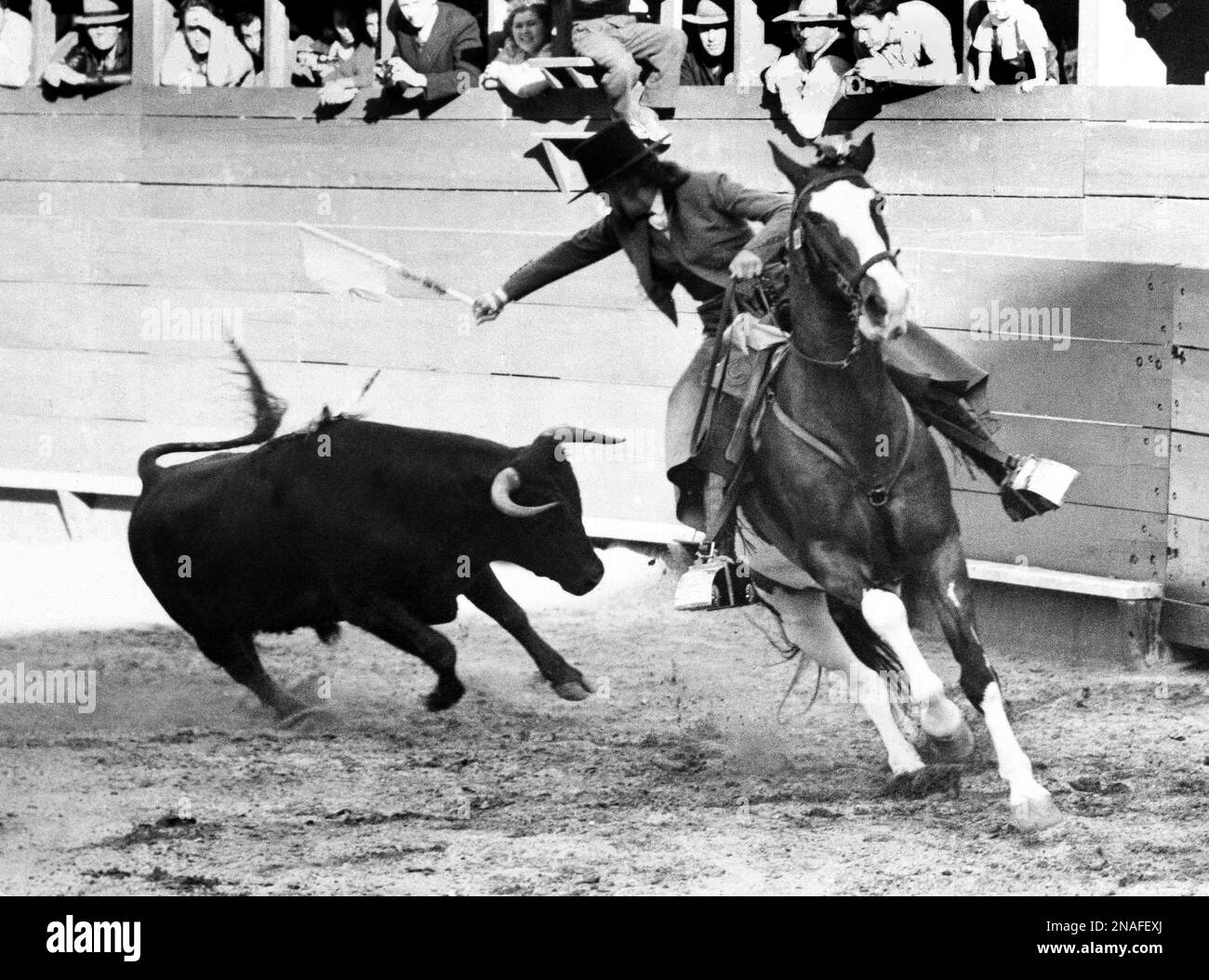 Conchita Cintron, 18-year-old bullfighter, has just plunged a ...