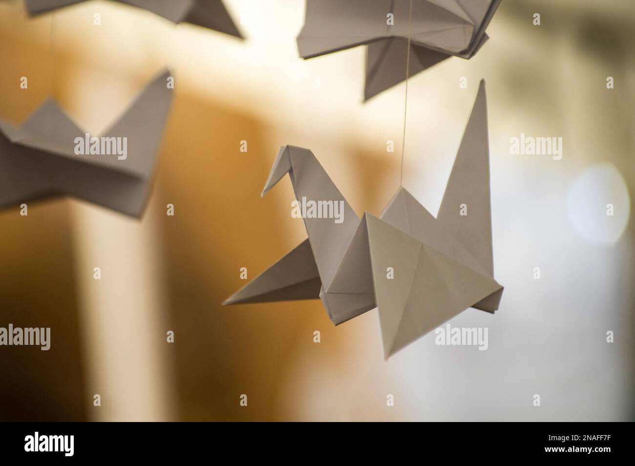 Japanese folded Origami cranes hanging on with strings. Hundreds ...
