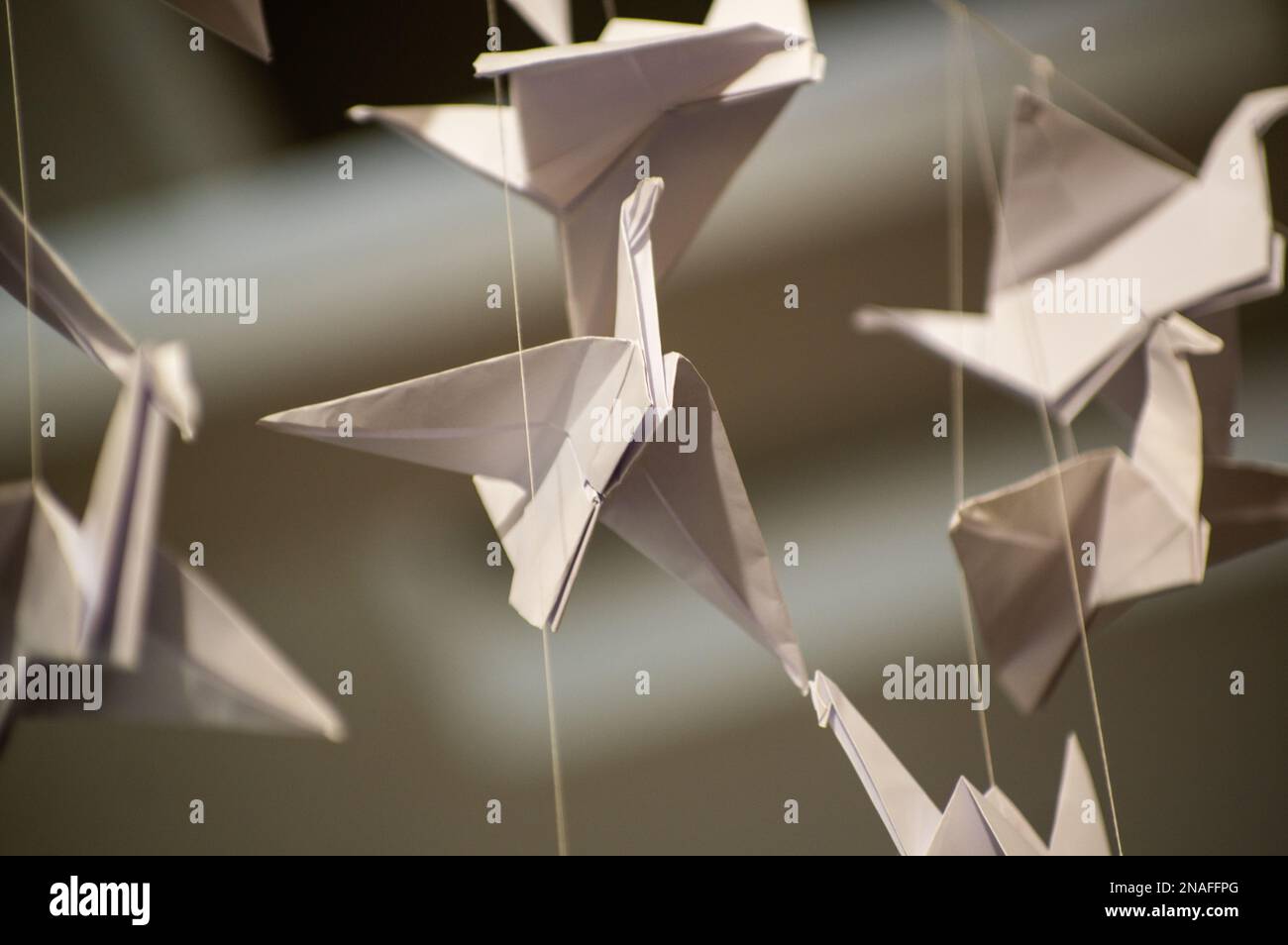 Japanese folded Origami cranes hanging on with strings. Hundreds ...