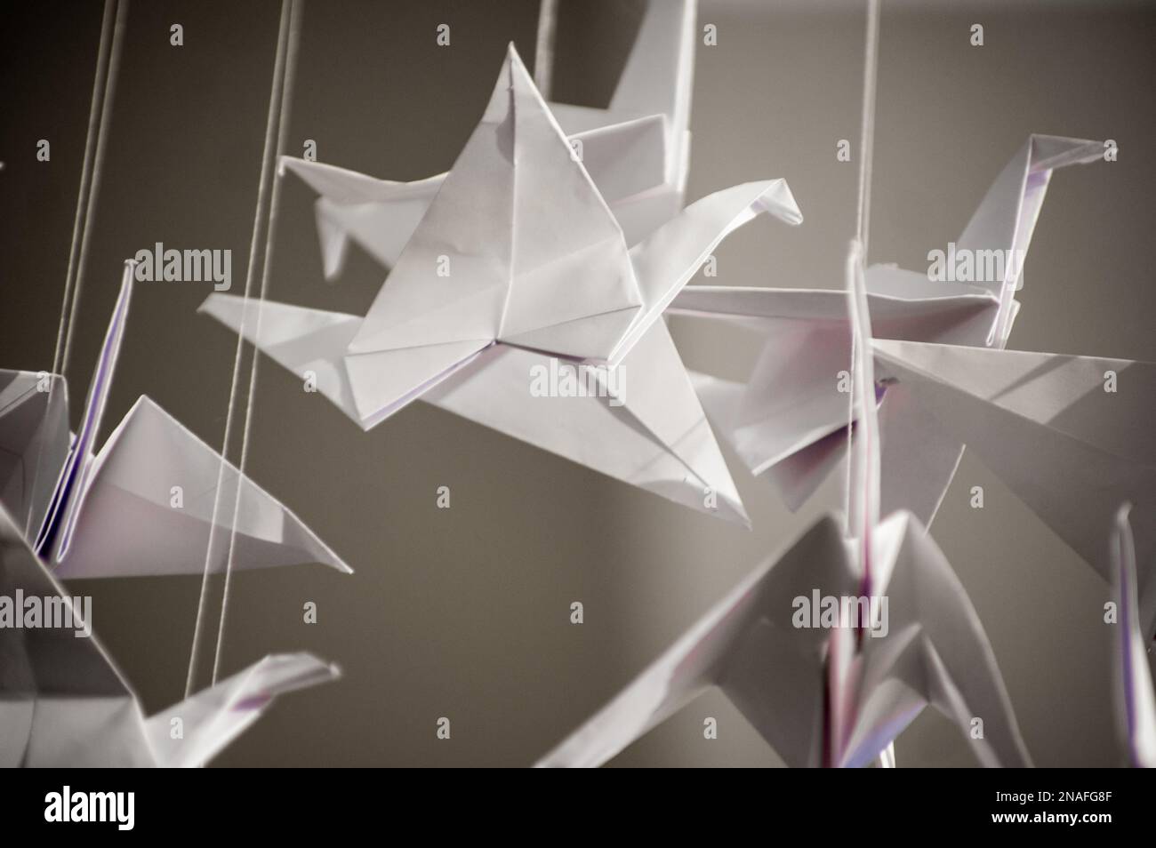 Japanese folded Origami cranes hanging on with strings. Hundreds ...