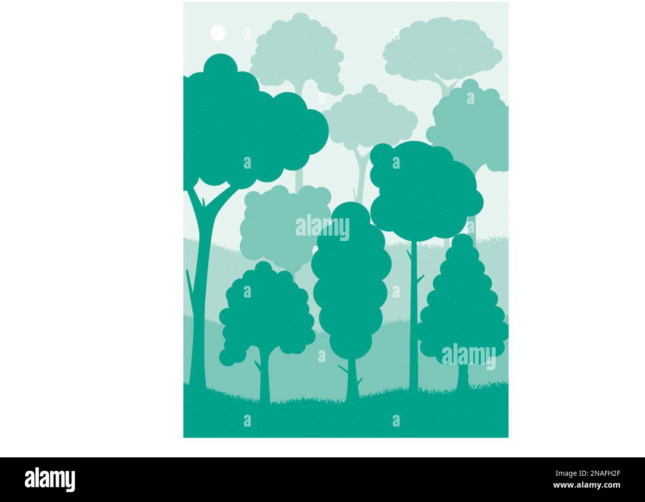 Forest full of different types of trees Stock Photo - Alamy