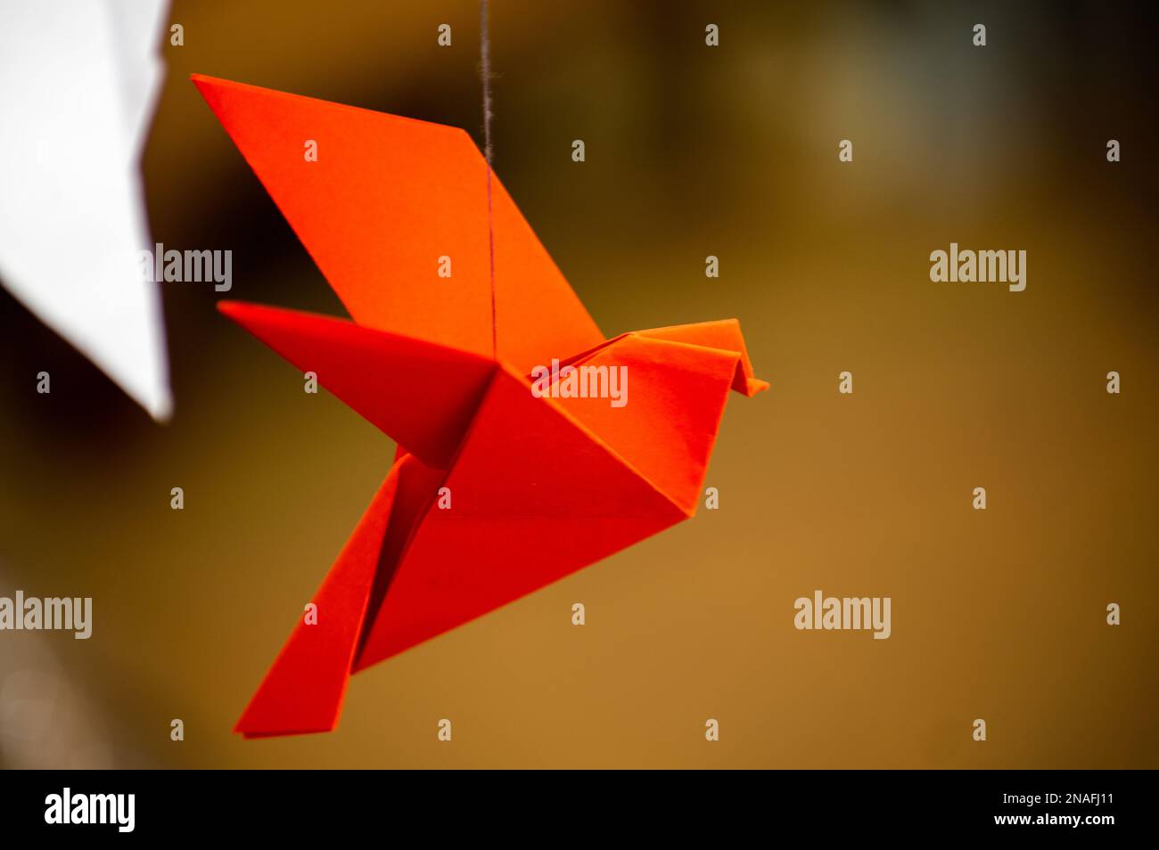 Japanese folded Origami cranes hanging on with strings. Hundreds ...