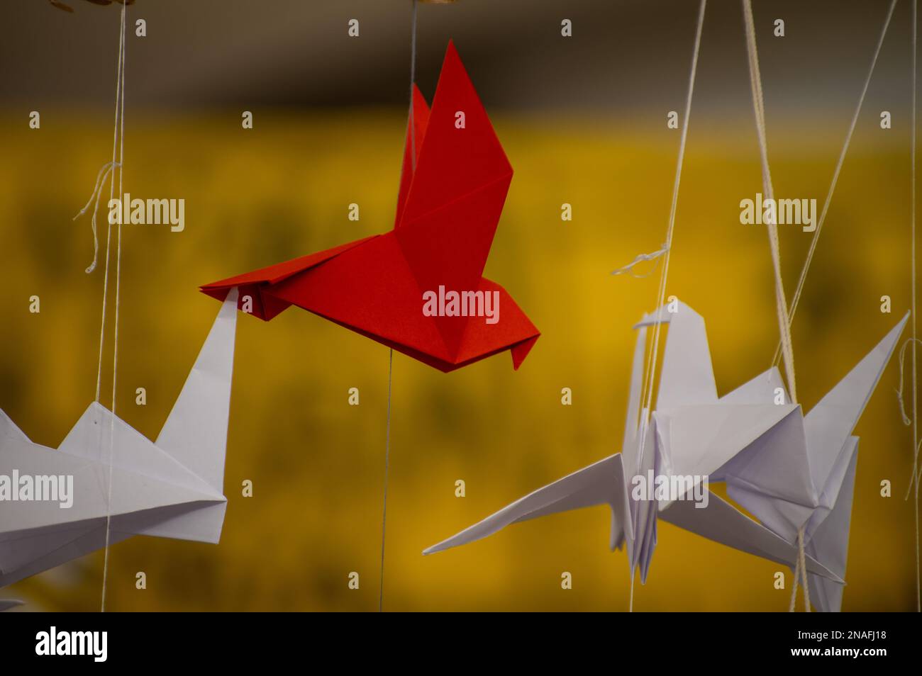 Japanese folded Origami cranes hanging on with strings. Hundreds ...