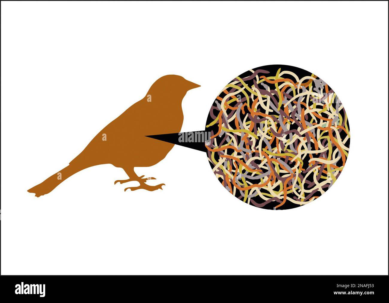 Bacteria in bird droppings Stock Photo - Alamy