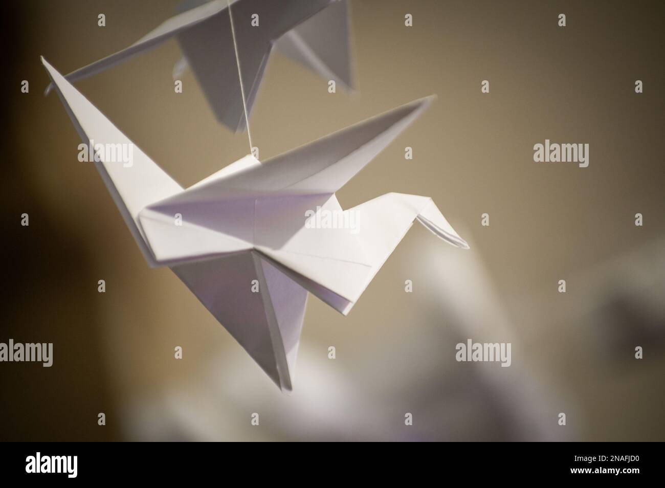 Japanese folded Origami cranes hanging on with strings. Hundreds ...